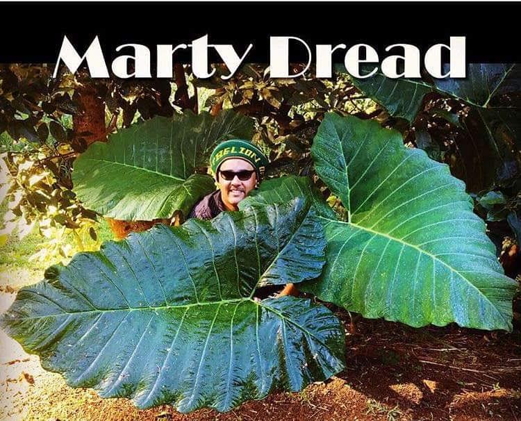 MANA’O@HOME Season 3 Episode 10: Marty Dread – Mana'o Radio